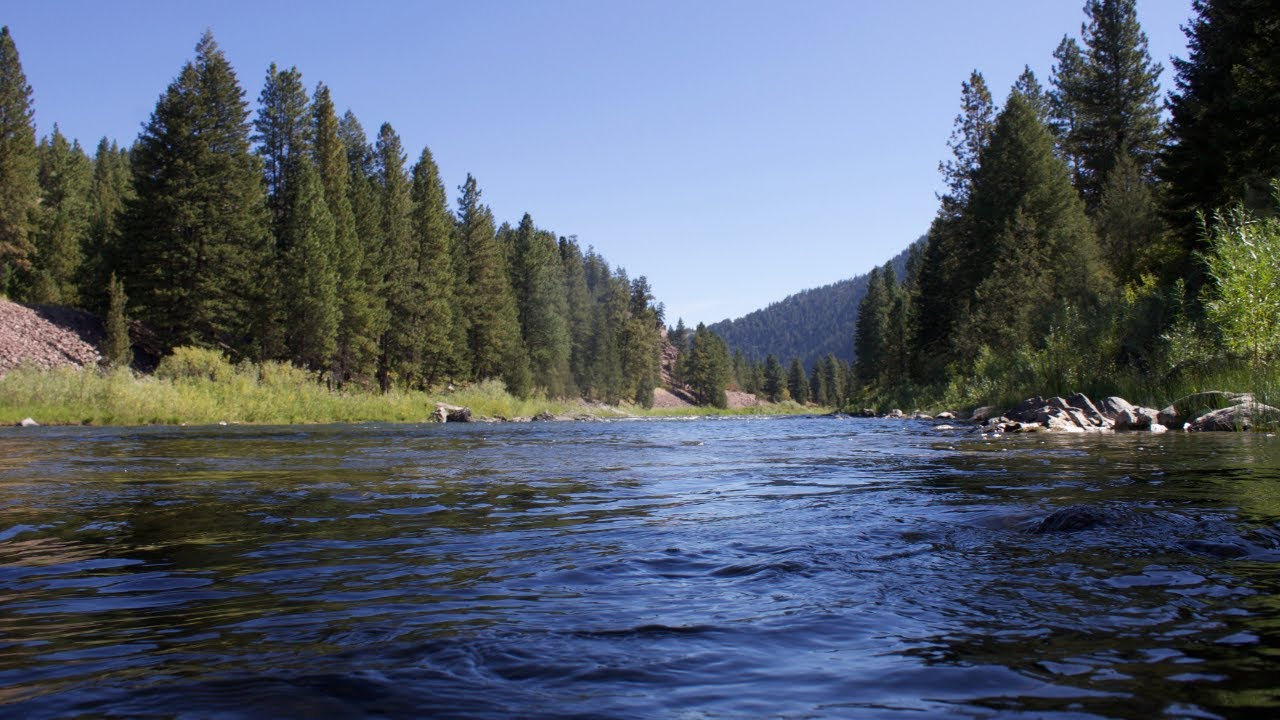 Deep River - YouTube