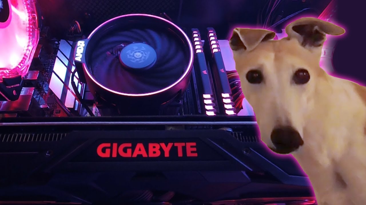 PC AMD Ryzen Budget Build--even the dog was impressed! - YouTube