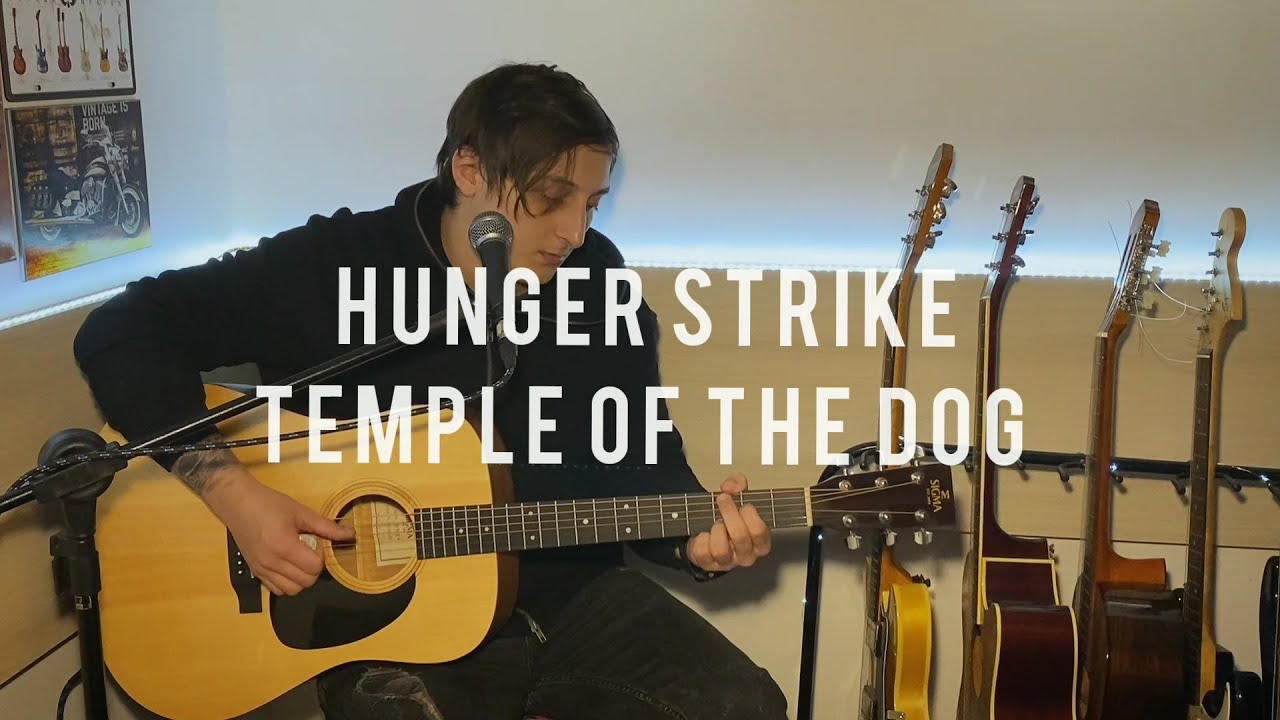 Temple of the Dog - Hunger Strike (Acoustic Cover) - YouTube