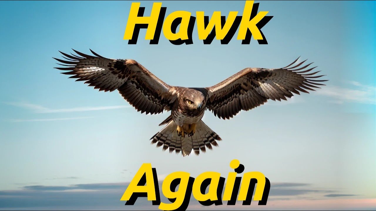 Hawk Again v 1 - YouTube