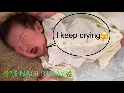 【31DAY】I keep crying🫣 - YouTube
