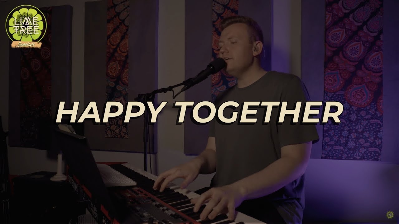 The Turtles - Happy Together (Cover By Lime Tree Sessions) - YouTube