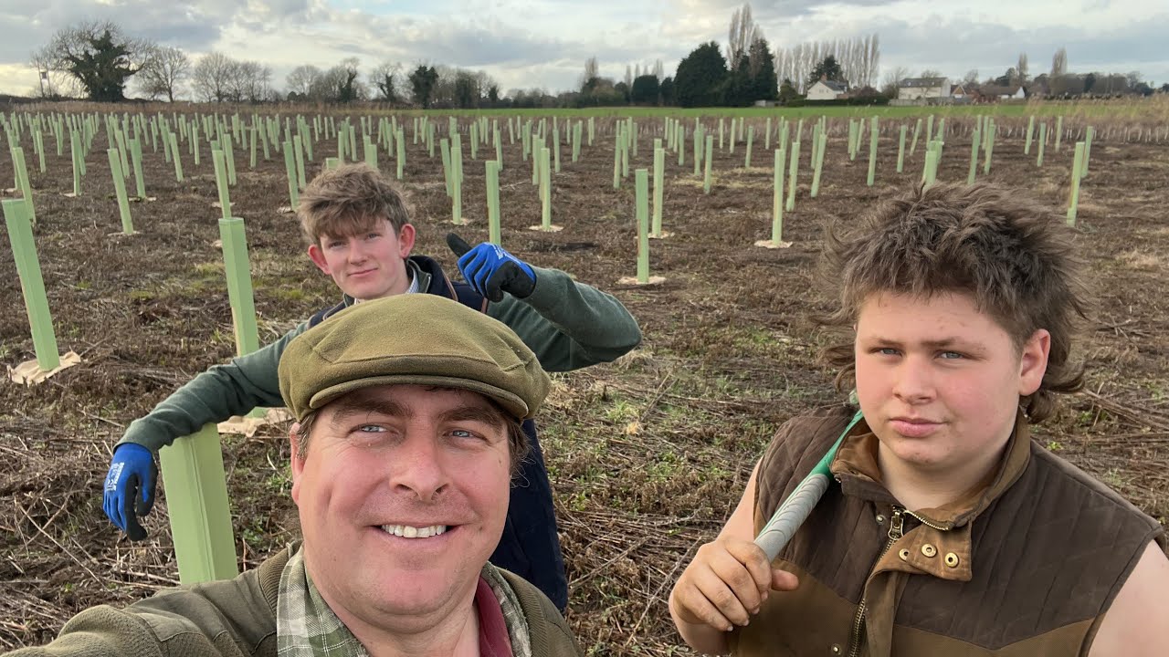 We planted a woodland, rewilding project in 6 days farm vlog 19 - YouTube