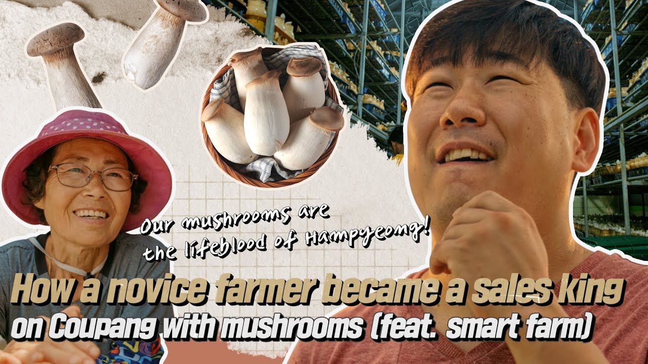 How a novice farmer became a sales king on Coupang with mushrooms🍄(feat ...