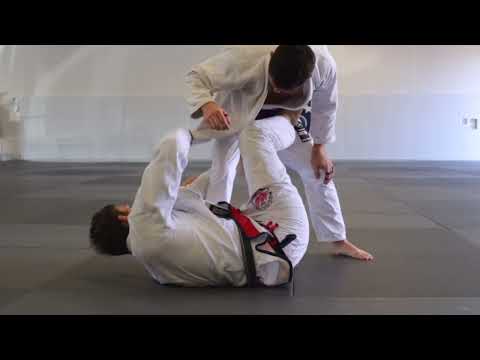 LEARN THE BASICS ON LAPEL DE LA RIVA!