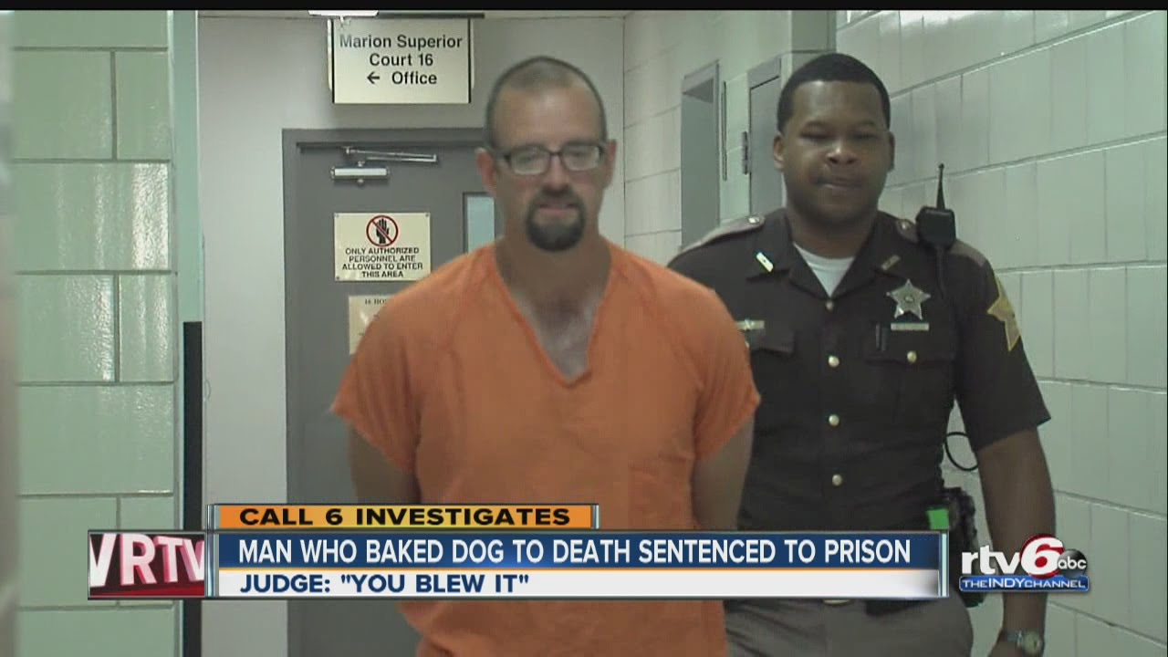 Man who baked dog sentenced to 3 years in prison - YouTube