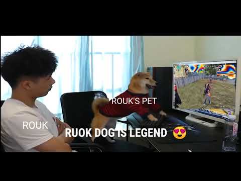 RUOK DOG VS OTHER PLAYERS BL7CK 777 - YouTube
