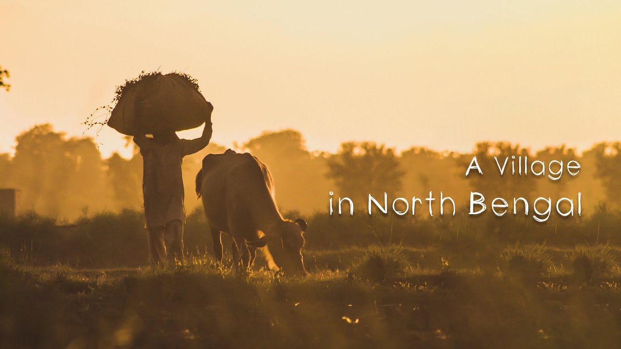 I Spent 7 Days Exploring North Bengal and Discovered a Hidden Gem ...