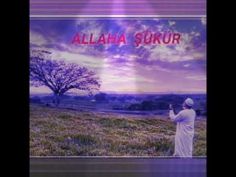 ALLAHA ŞÜKÜR ŞEİR 2020