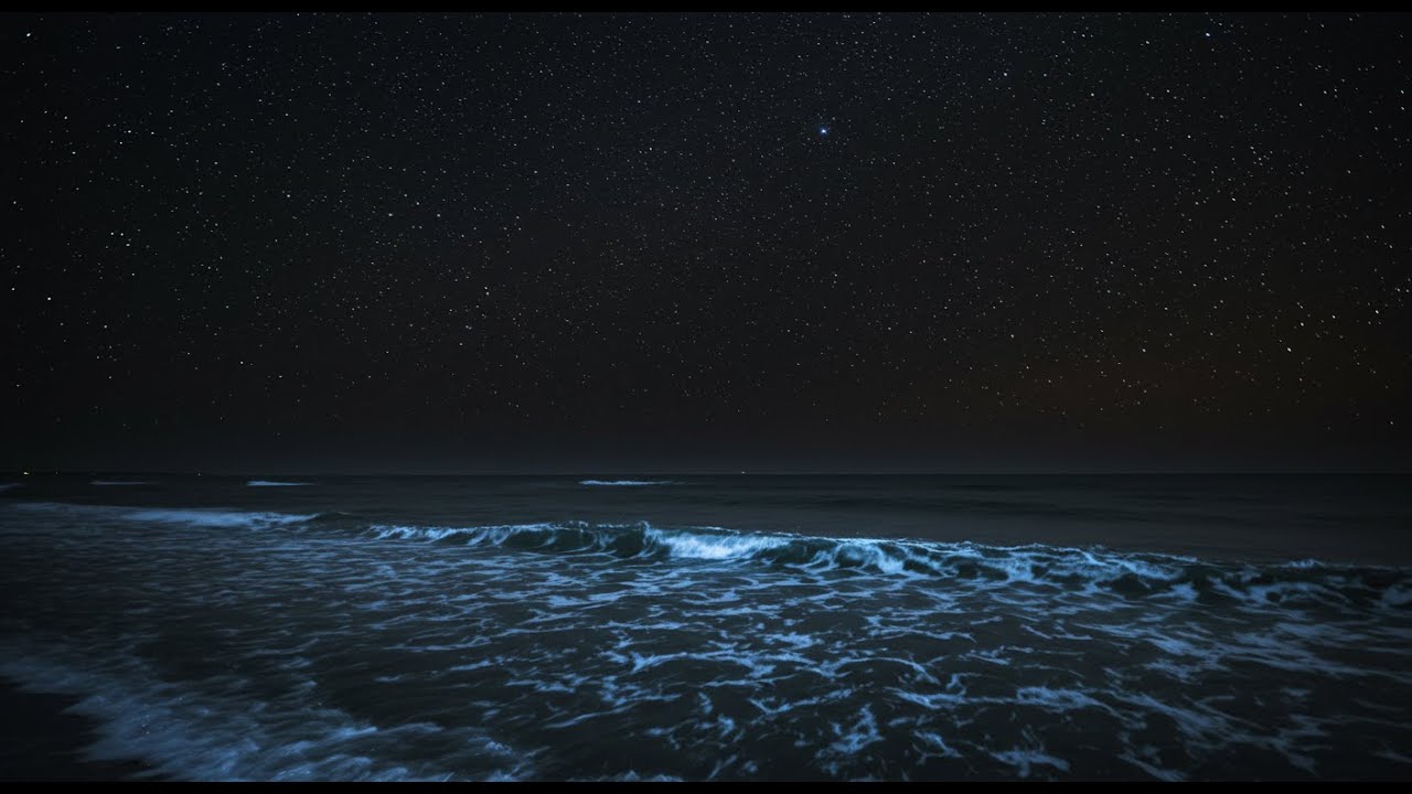 Soothing Wave Healing Vibes | Ocean Sounds for Mind & Body Relaxation ...