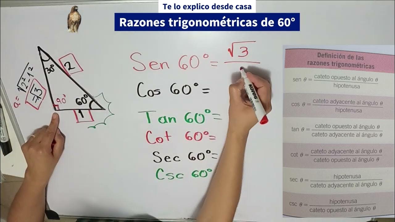 Razones trigonométricas para ángulo notable de 60° - YouTube