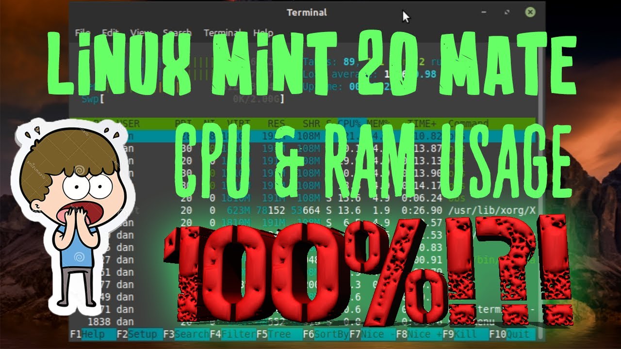 Linux Mint 20 "Ulyana" Mate RAM and CPU Usage - YouTube
