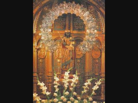 Titi - biliti