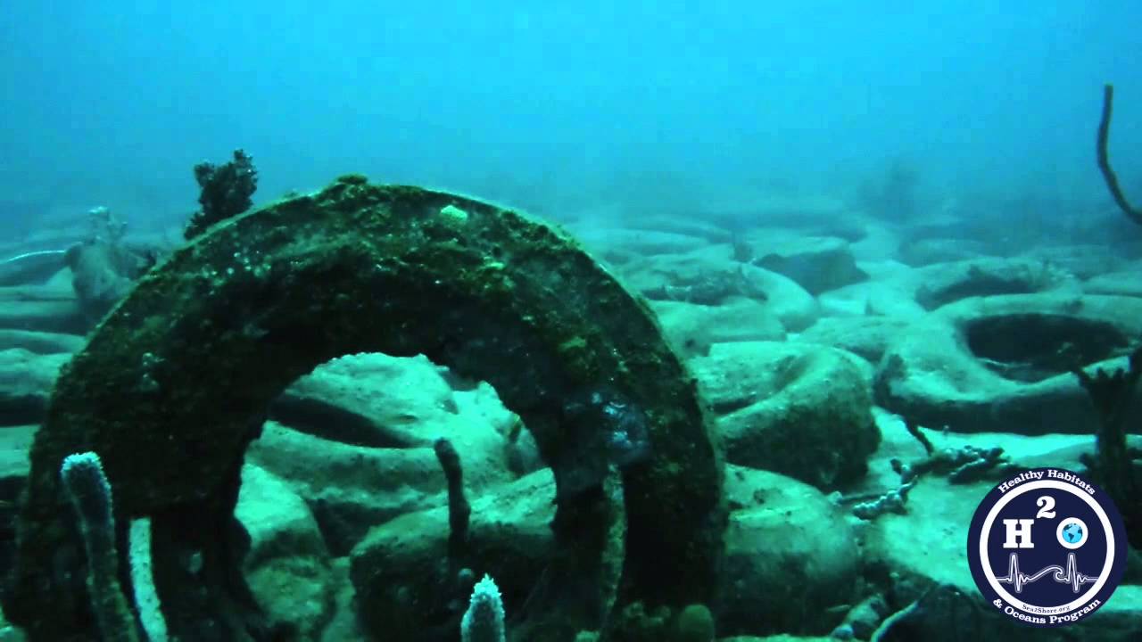 Osborne Tire Reef - Pre-Removal Survey with Broward County DERM and Sea ...