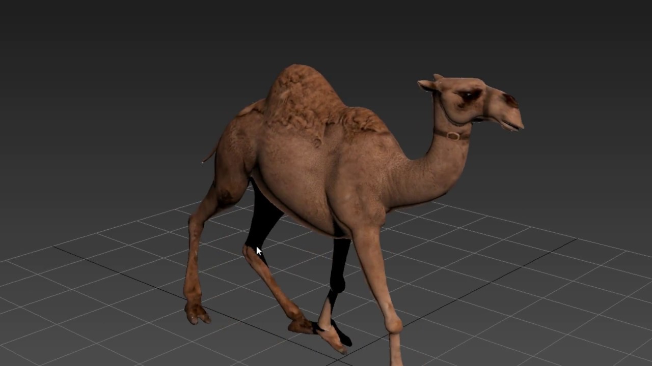 camel game guru - YouTube