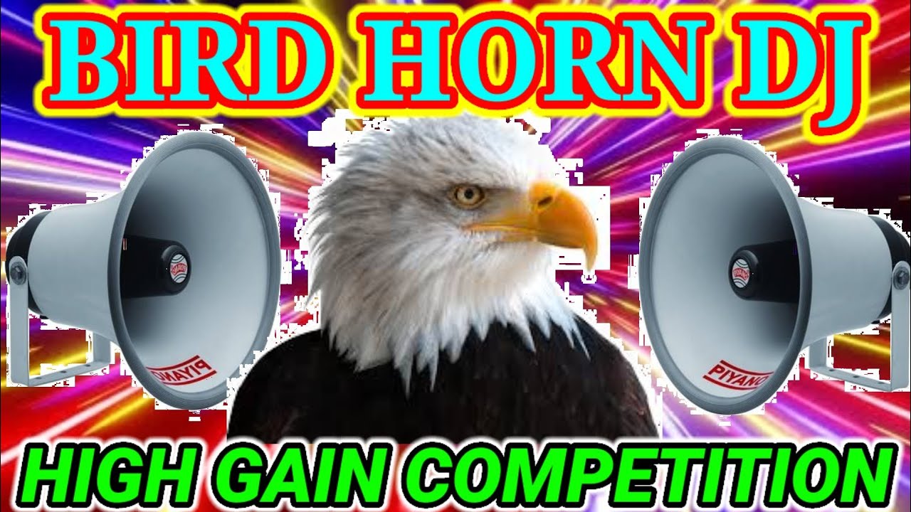 Bird Horn dj competition//High gain competition horn/Dj horn - YouTube