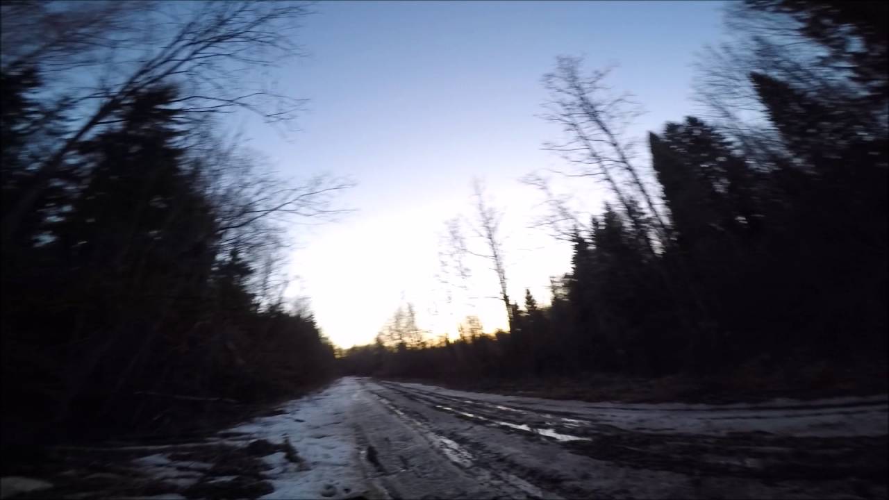 Hanting. Охота на вальдшнепа 3 2016г. - YouTube