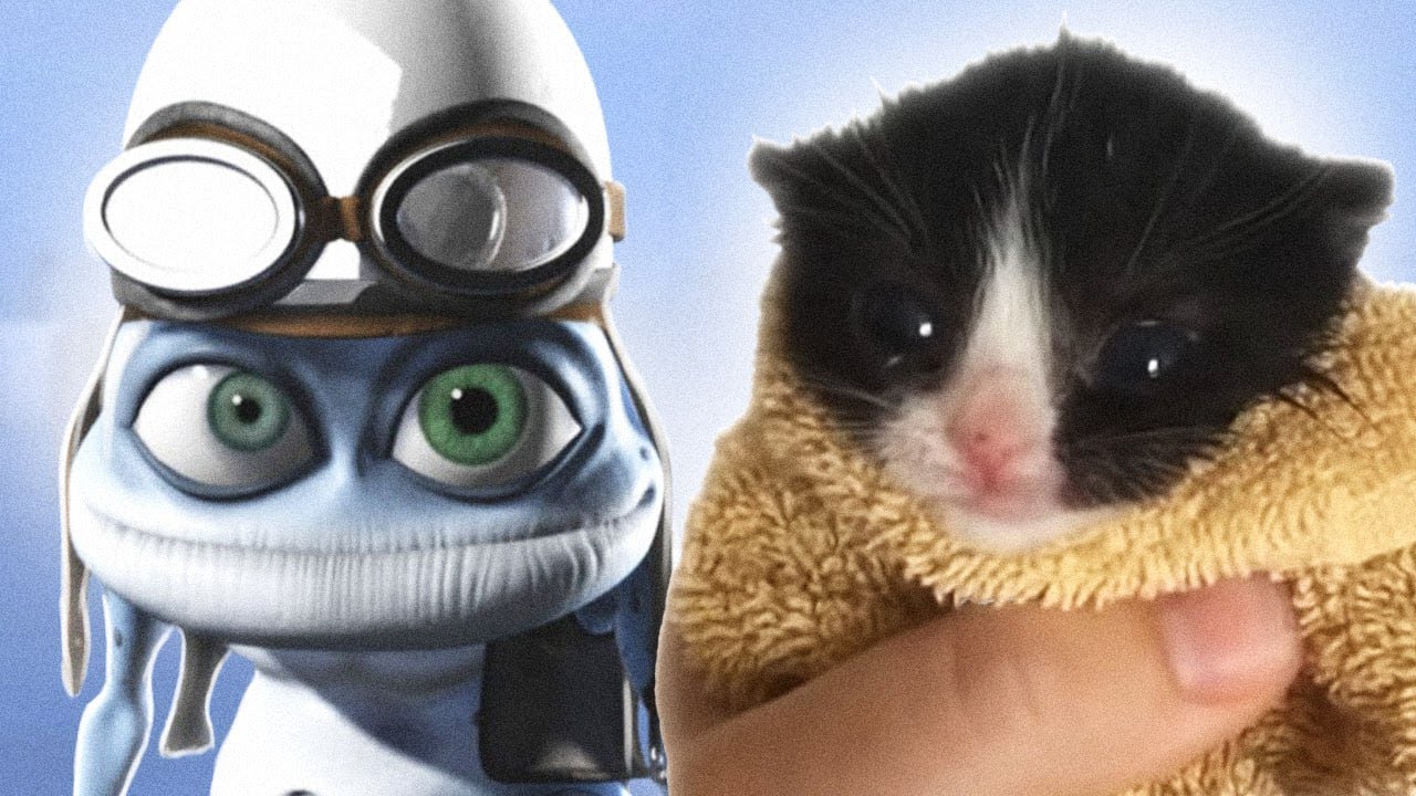 Kitten Meows x Axel F (Crazy Frog) - YouTube