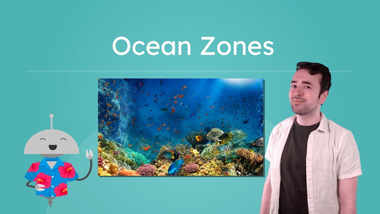 Ocean Zones - The Sunlight, Twilight, and Midnight Zones of the Ocean ...