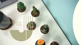 Simple Elements Artificial Assorted Cactus with Terracotta Pot | Potted Decorative Faux Cacti