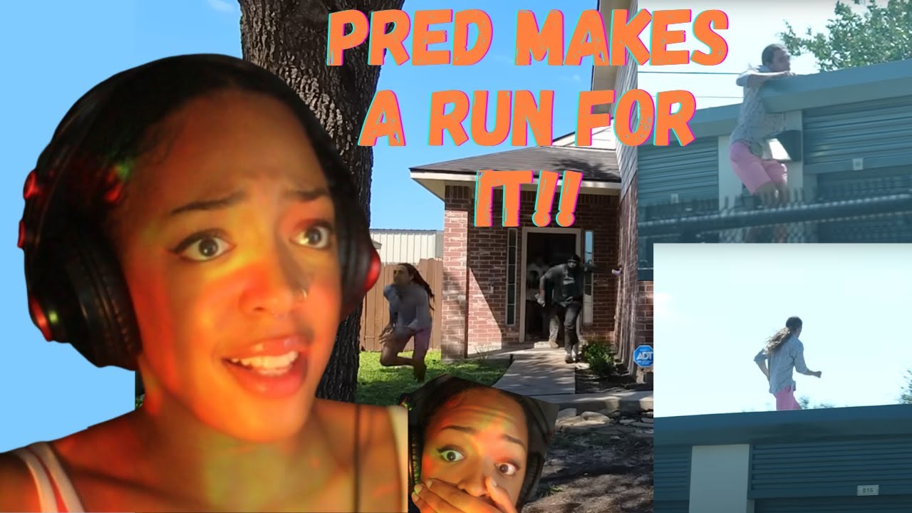 Pred makes a run for it!! | Jidion EDP Watch | Reaction - YouTube