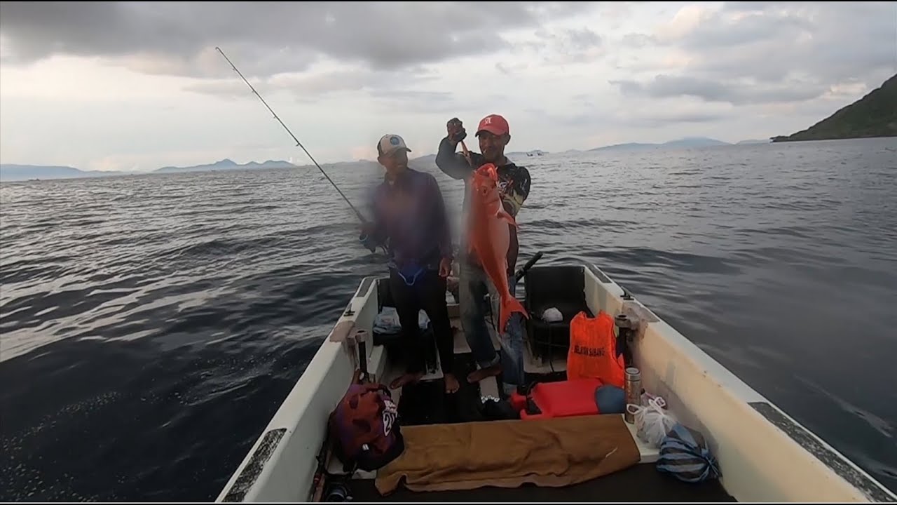 Rubby Snapper (Kurisi) dan Barakota Strike Bertubi tubi - YouTube