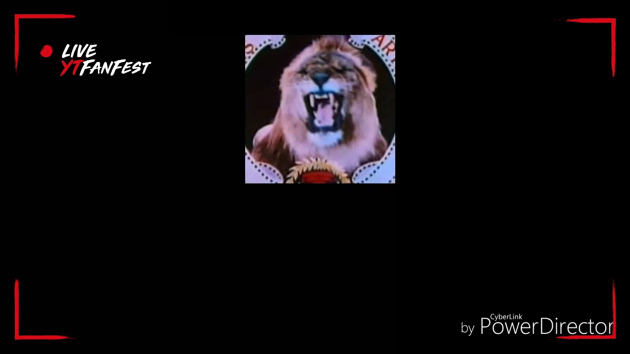 Tanner The Lion Footage - YouTube