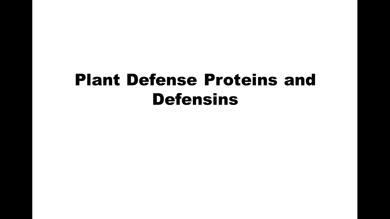 Plant Defence proteins and Defensins - YouTube