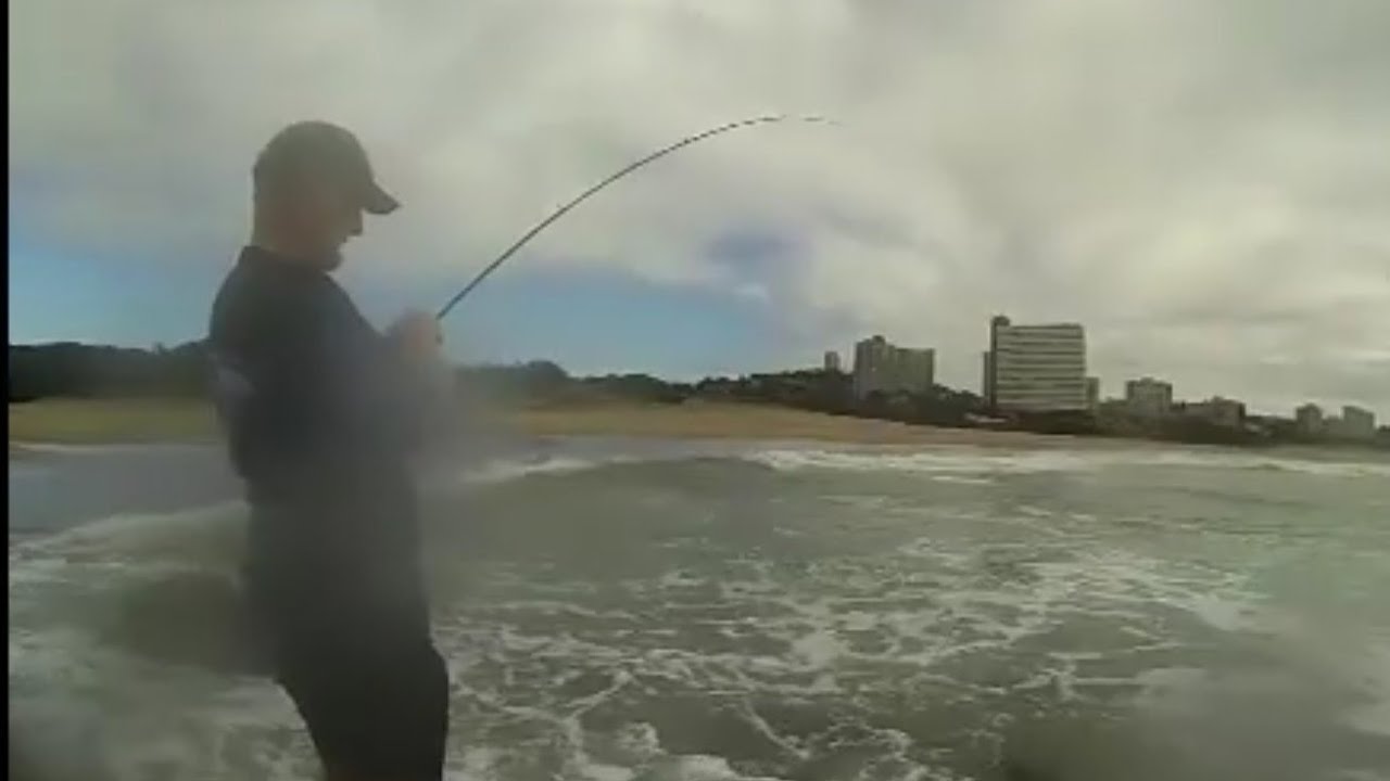 Holiday maker catches first Elf/Shad! - Shad Run in South Africa - YouTube