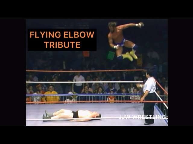 Macho Man Randy Savage Elbow Drop Gif