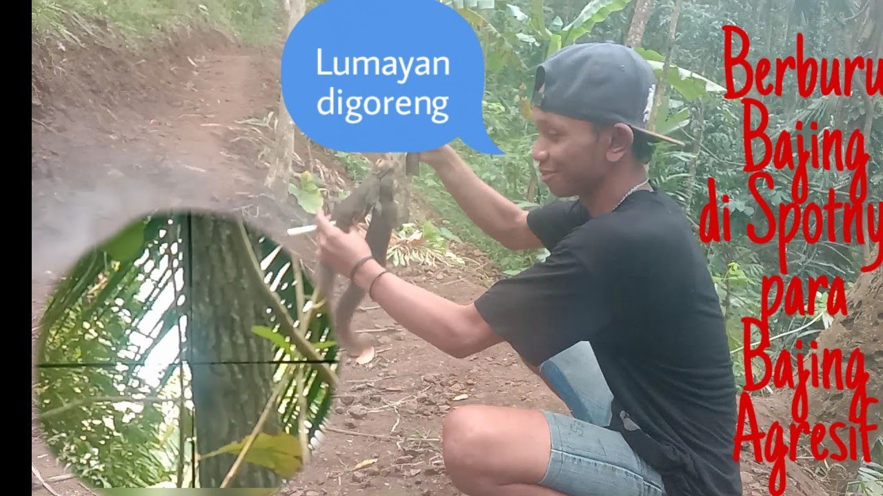 Berburu tupai/bajing(hama kelapa)di spot tersulit - YouTube