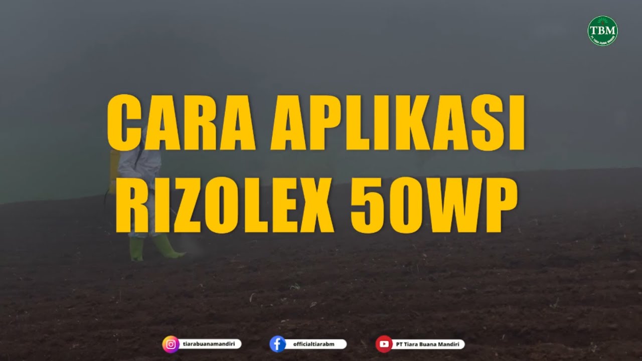 CARA APLIKASI RIZOLEX 50WP - YouTube