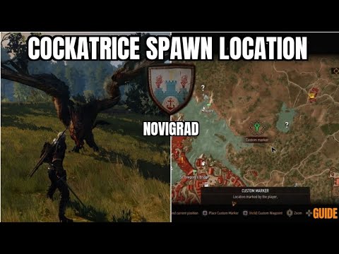 where to find a cockatrice in the witcher 3 novigrad area - the witcher ...