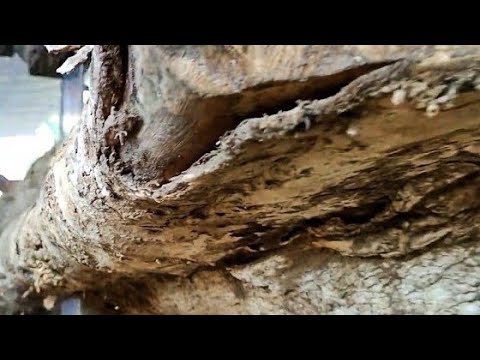 SAWMILL - 4 Metre Uzun Tahta Taşlama - DIY Ahşap