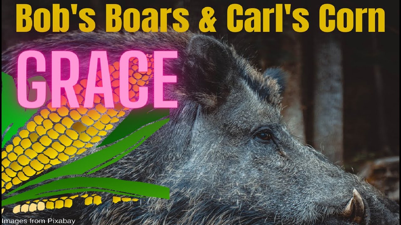 7DTD: Bob's Boars and Carl's Corn Featuring GRACE - YouTube