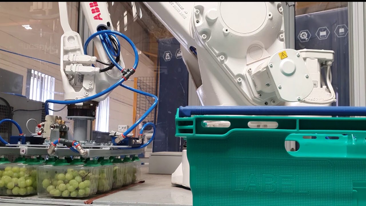 Robot Automation and Packaging, Pallet Stacking | RMGroup - YouTube