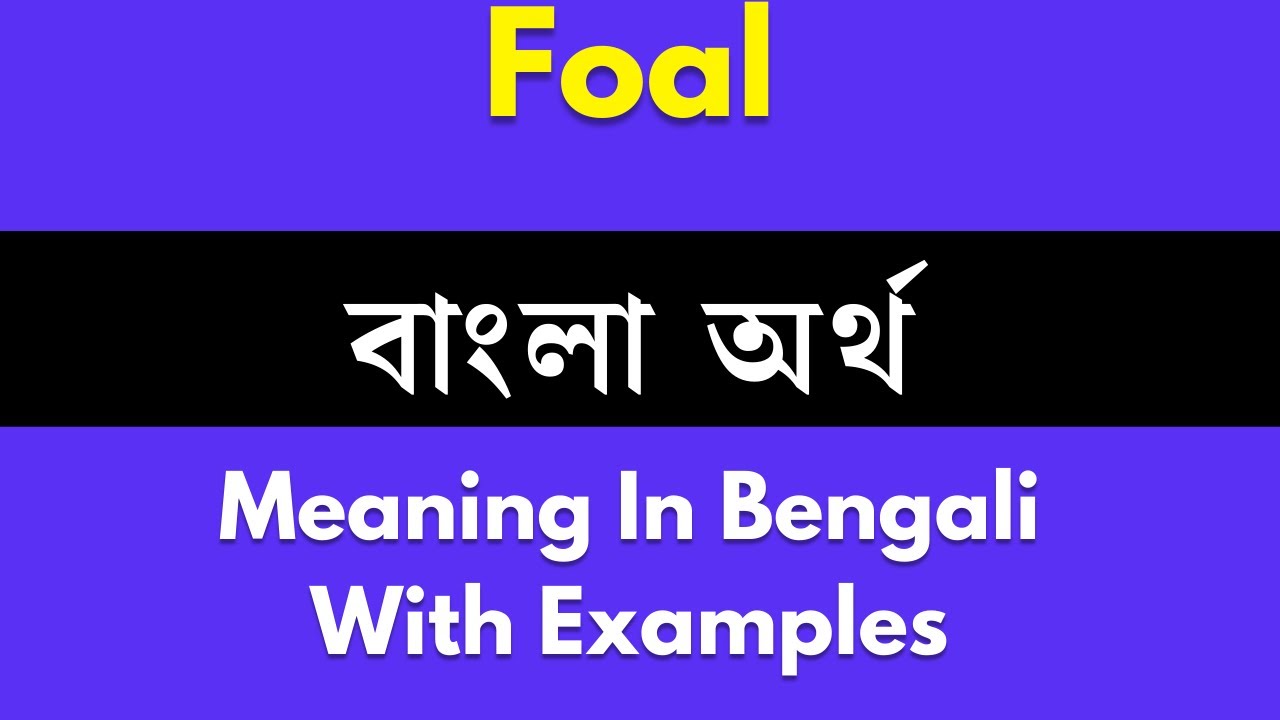 Foal Meaning In Bengali Foal foal-meaning-in-bengali-foal