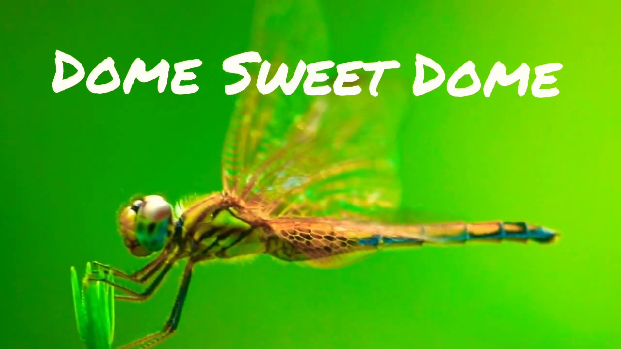 Dome Sweet Dome - YouTube