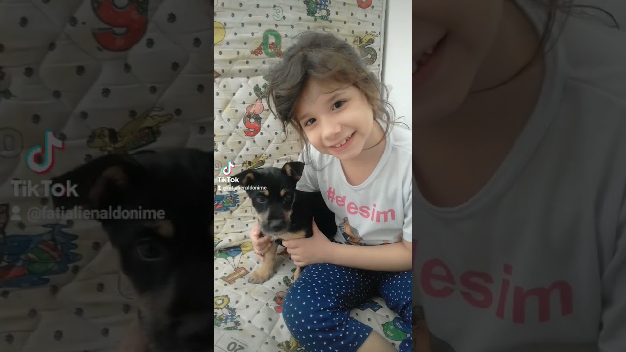 Auuuuuuuuu Lata Coração Cachorro Late Coração Youtube