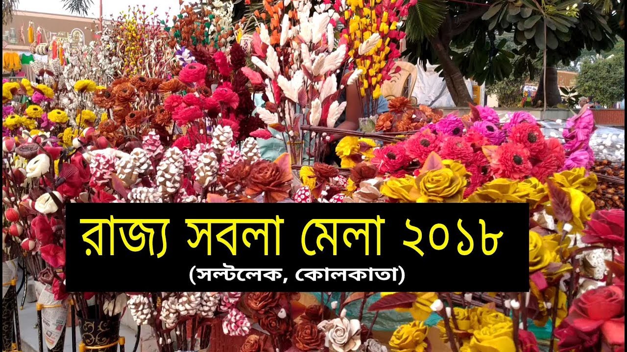 রাজ্য সবলা মেলা ২০১৮ || West Bengal SABALA MELA 2018 || Mon Ja Chai ...