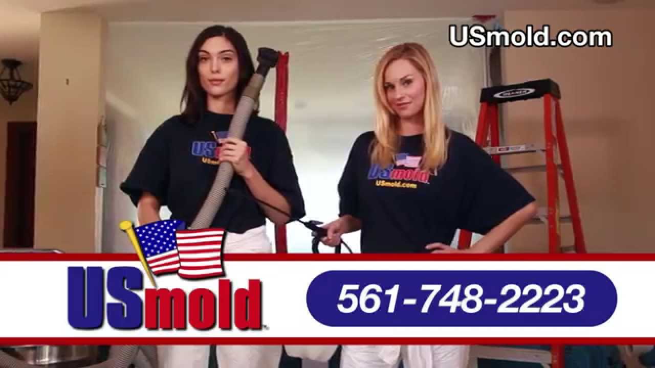 “Fungus Among Us” for US Mold, Bluwave Productions Producer Robert ...