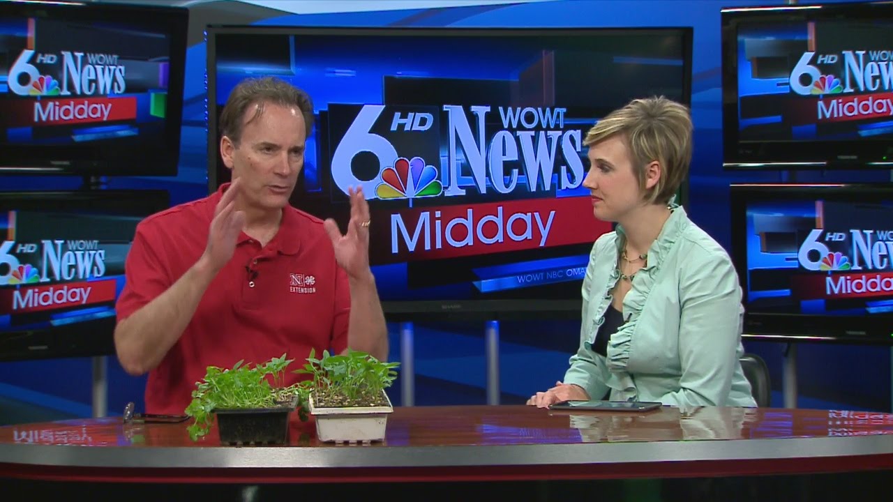 Lawn and garden expert John Fech - YouTube