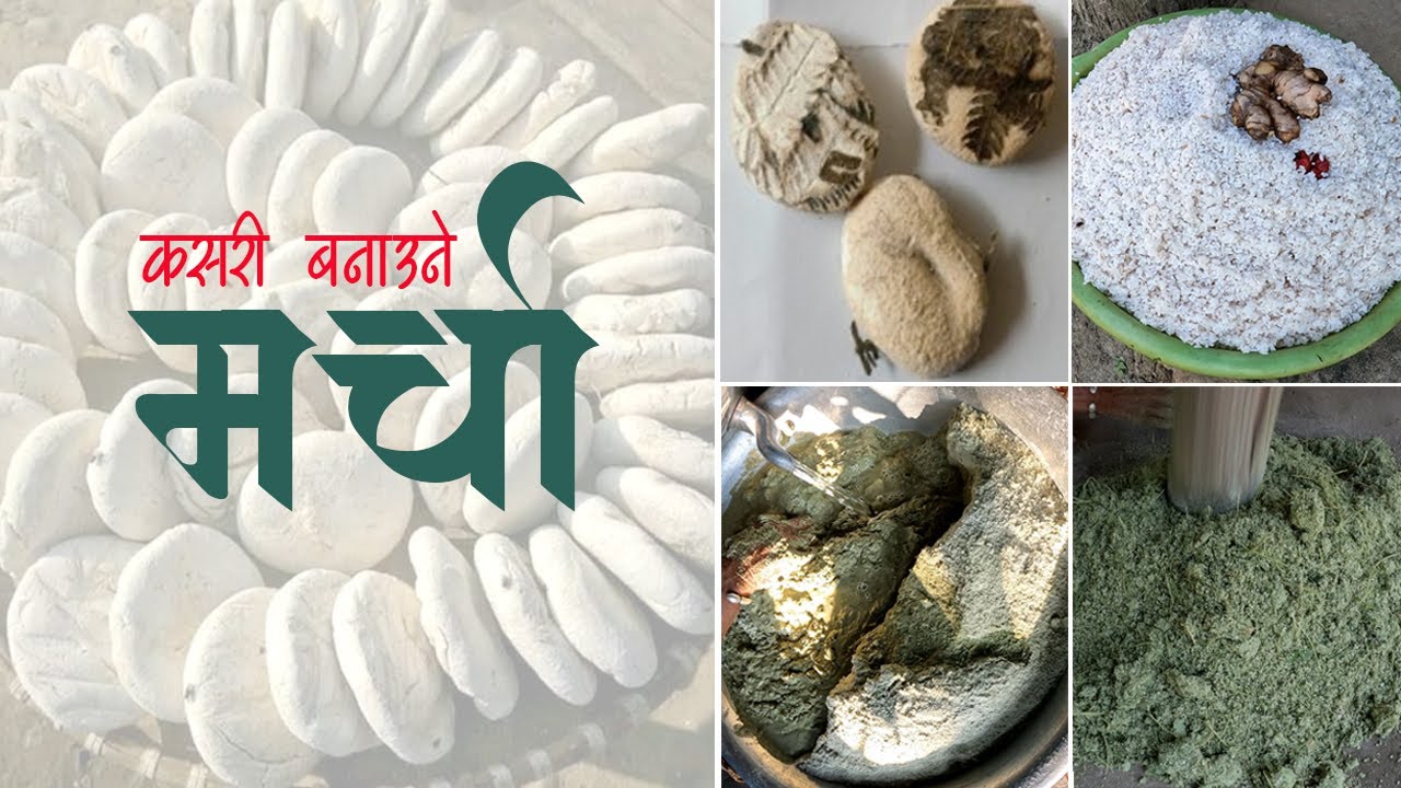 कसरी बनाउने मर्चा? ।। HOW TO MAKE MARCHA (Yeast)? ।। - YouTube