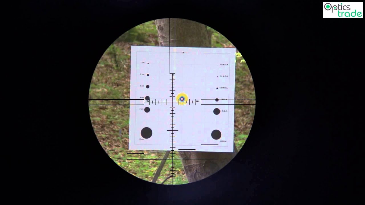 Schmidt Bender 5-25x56 PM II SFP P4L reticle subtensions - YouTube