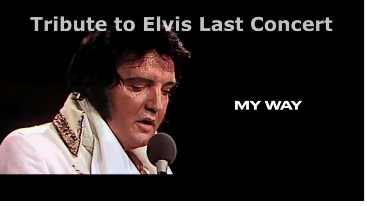 Tribute to Elvis Presley's Last Concert June 1977 - YouTube