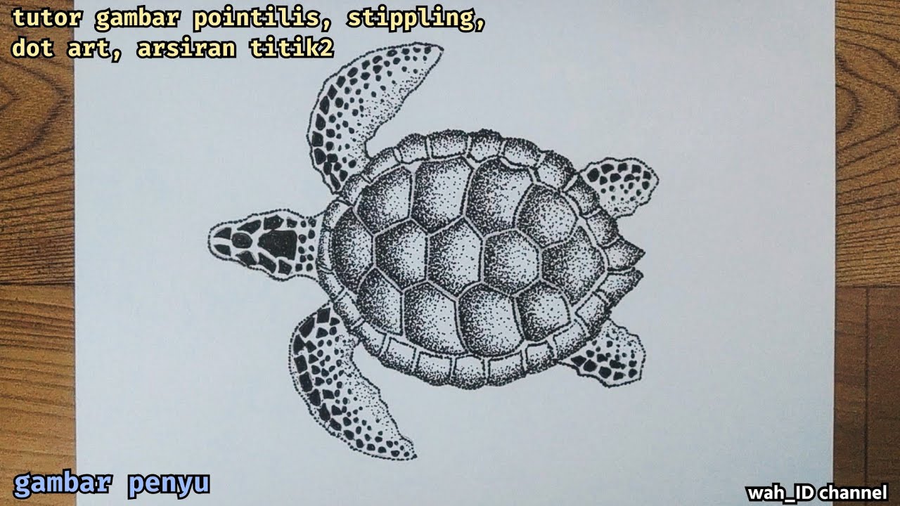 Contoh gambar penyu | teknik pointilis | stippling | dott art | arsiran ...