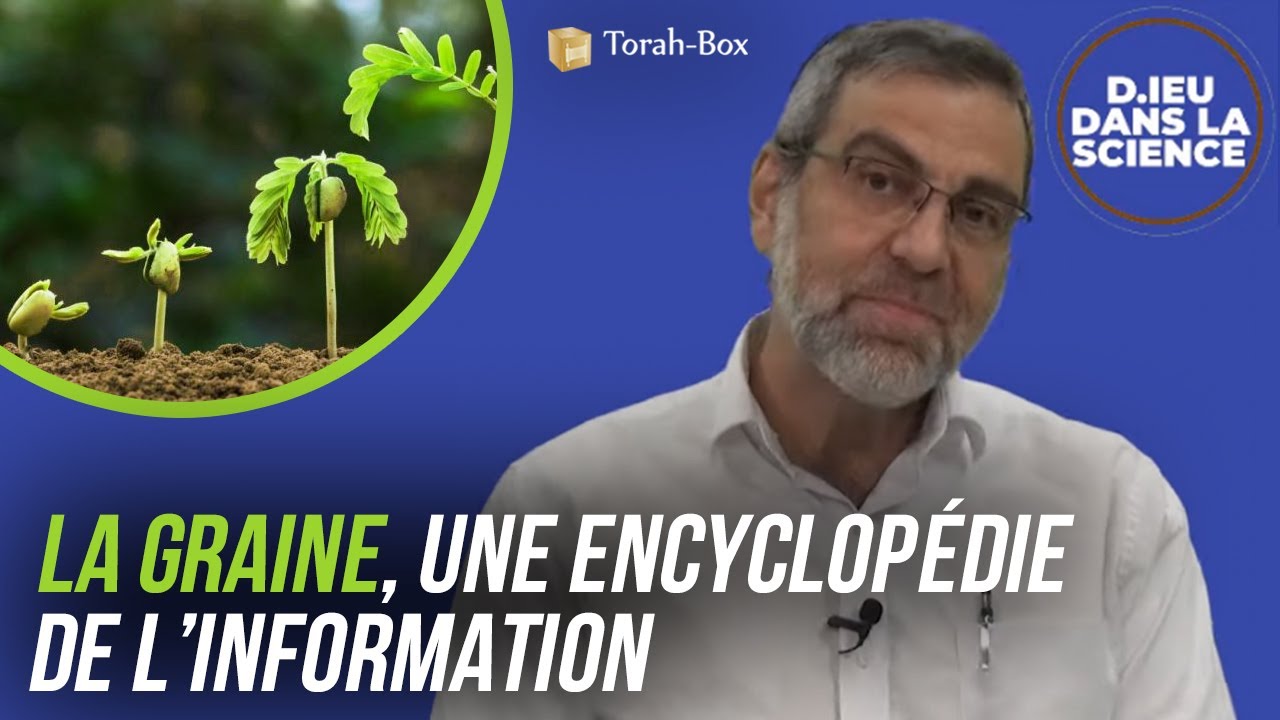 D.IEU DANS LA SCIENCE! LA GRAINE, UNE ENCYCLOPÉDIE DE L’INFORMATION ...