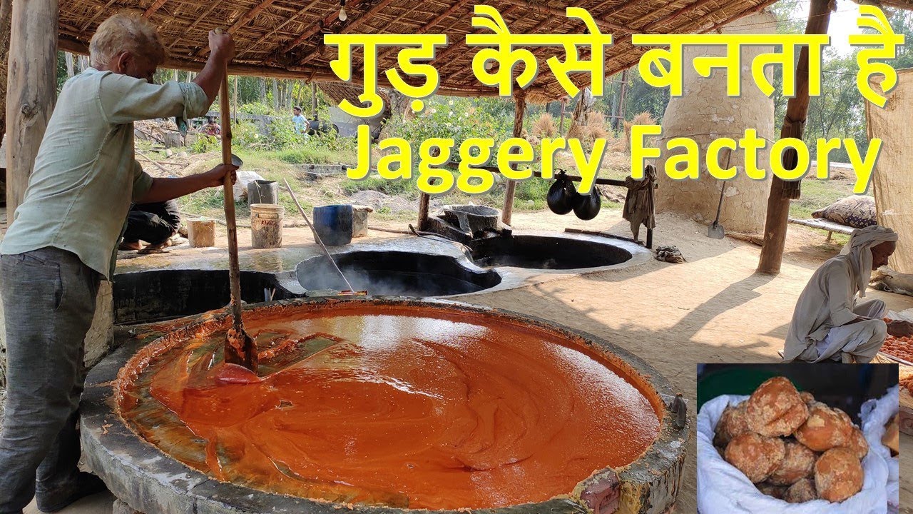 Jaggery #Gud Factory – Complete Overview and making Process of GUD ...