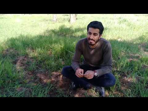 Arjen Arî - Hêvî