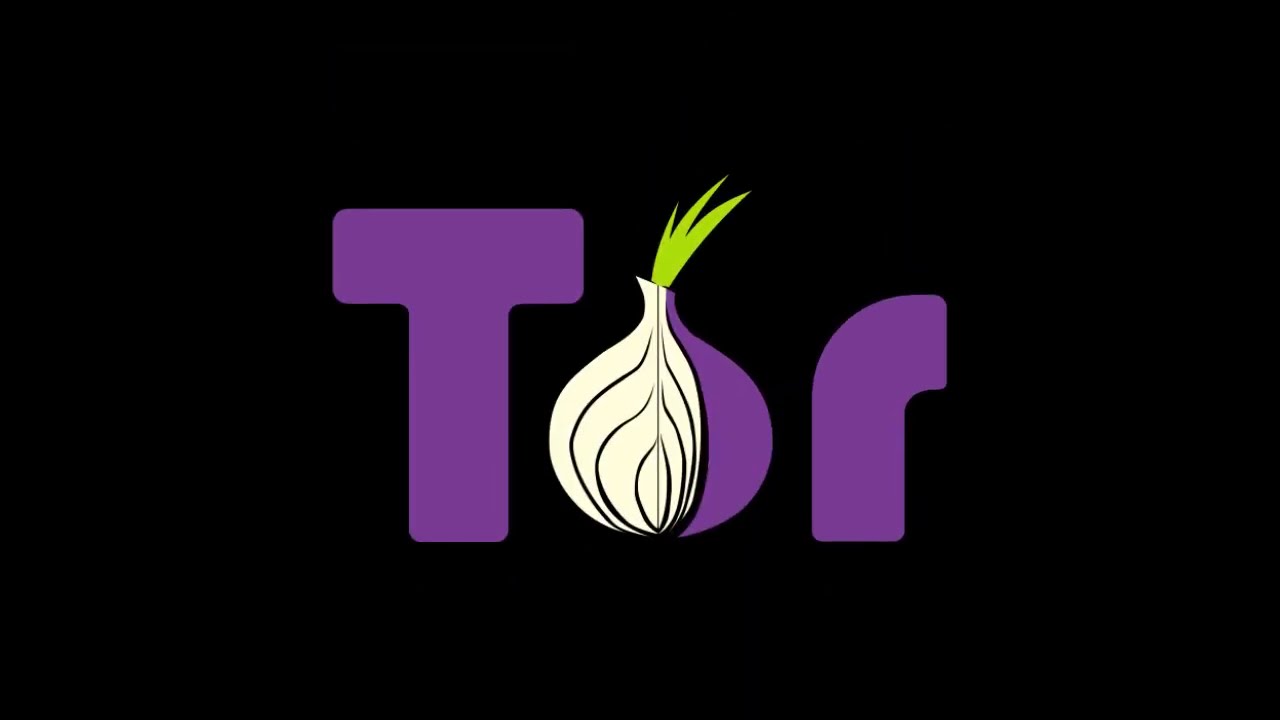 Google can't Trace your location if you search through Tor Browser ...